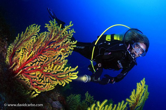 Scuba Diving | Association of diving centers on the Costa Brava