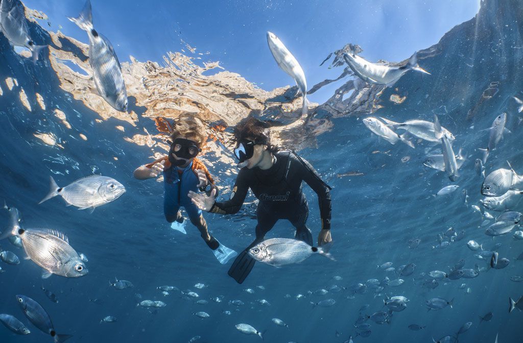 Snorkeling │ Association of diving centers on the Costa Brava